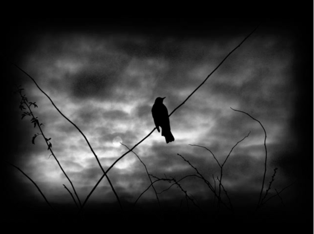 Devotion: The Lost Day – Wes Barry